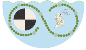 WilsonLab – At Auburn University