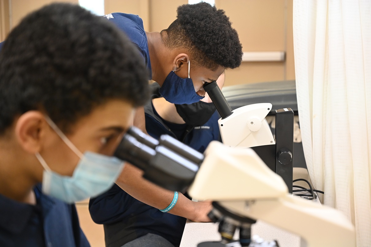 November 20, 2020 – WilsonLab