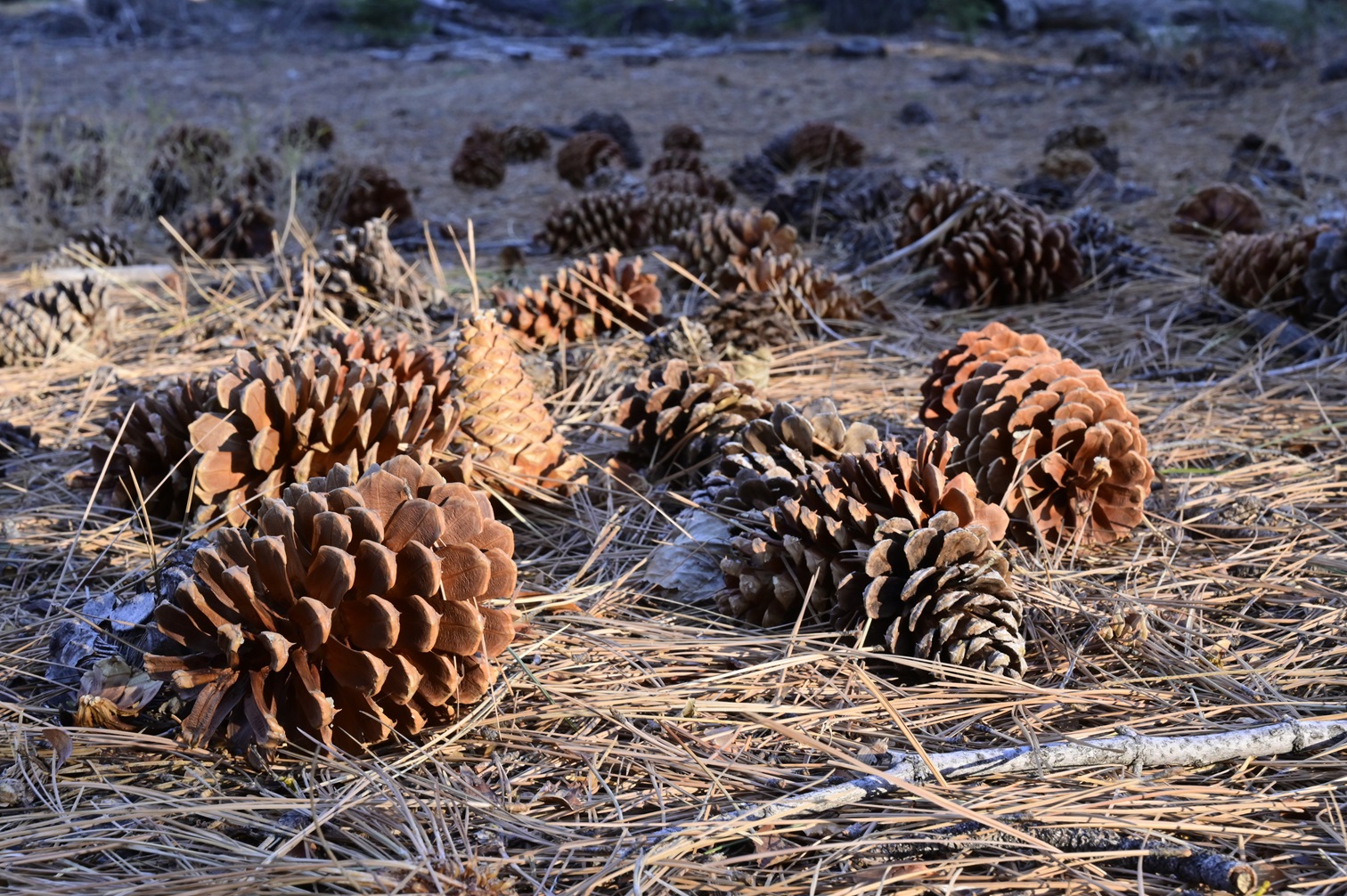 November 10, 2024 – WilsonLab